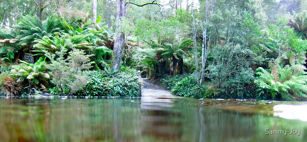 "Spion Kop" by Sammy-Joy | Redbubble