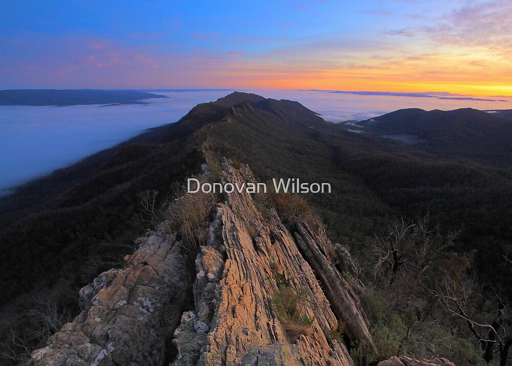 " Cathedral Range State Park." by Donovan Wilson | Redbubble