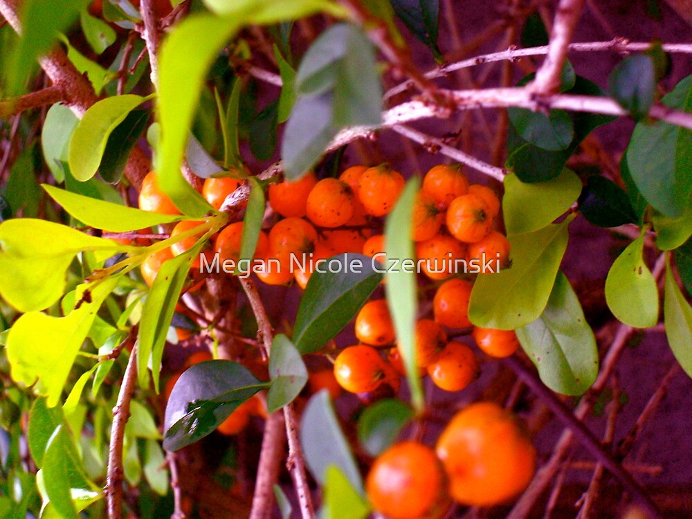 "Wild Berries-Philippines" by Megan Nicole Czerwinski | Redbubble