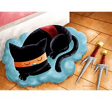 "Ninja Cat Nap" by Jeff Crowther | Redbubble