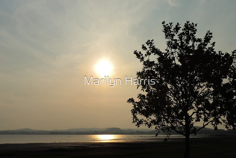 "Sun Reflections - Lake Learmonth, Victoria" by Marilyn Harris | Redbubble