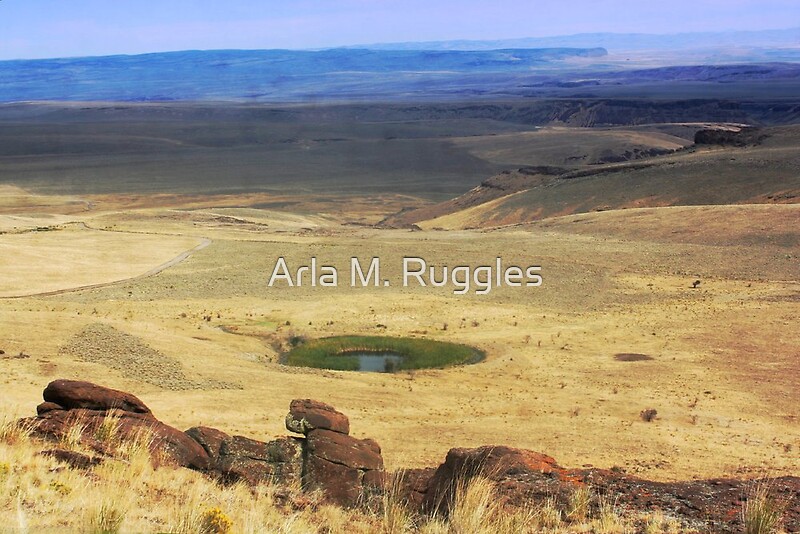 "Mountain Oasis" by Arla Ruggles | Redbubble