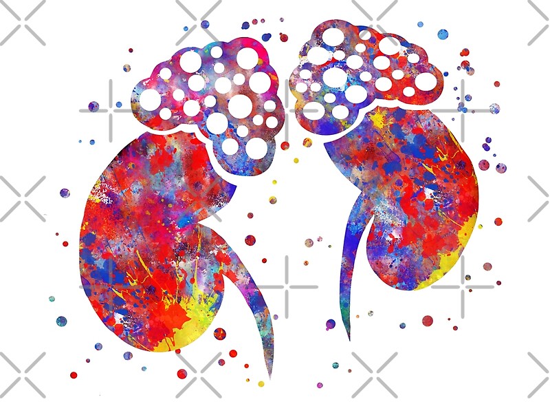 "Adrenal gland" by Rosaliartbook | Redbubble