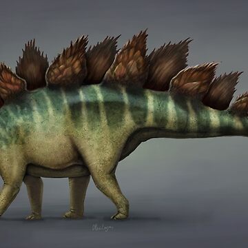 "STEGOSAURUS 2018 paleoart" Photographic Print for Sale by Mario Lanzas ...