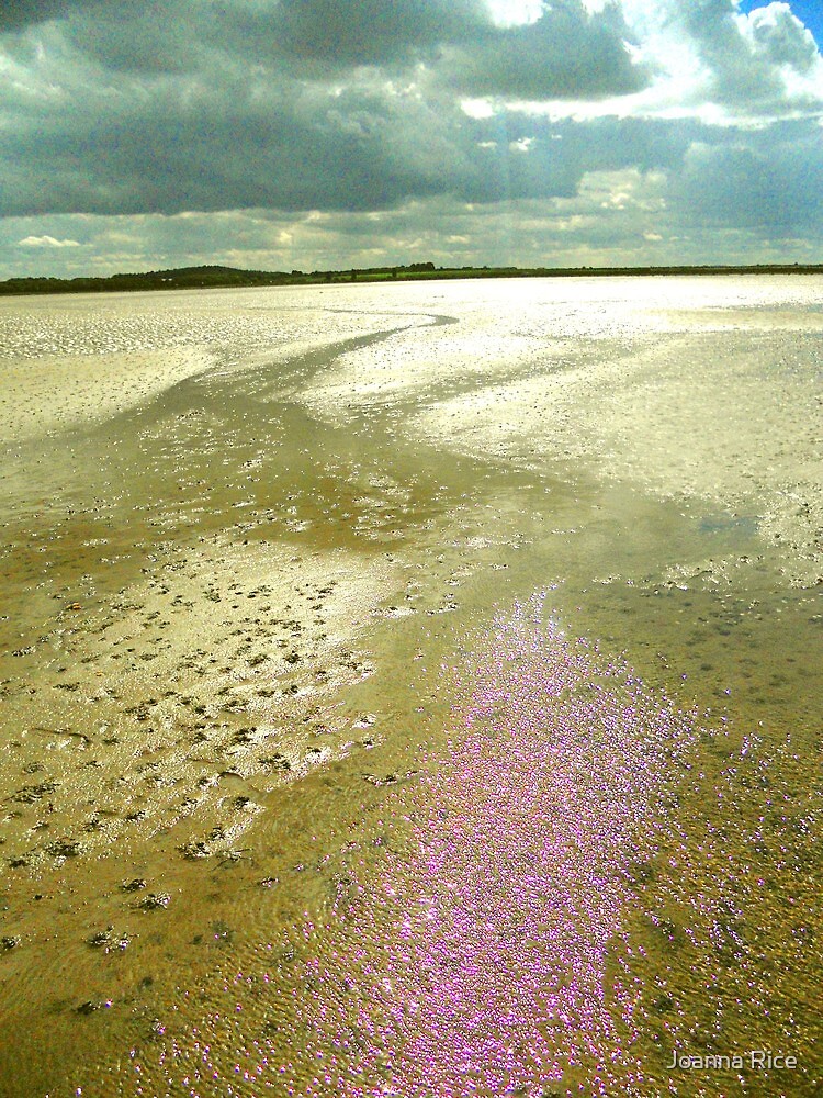 "Stiffkey beach, England" by Joanna Rice | Redbubble