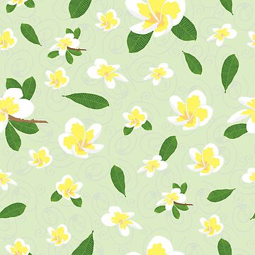 "White Plumeria flower-chembakam-design for onam trends" Photographic ...