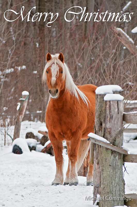 "Horse Christmas Card 1" by Michael Cummings | Redbubble