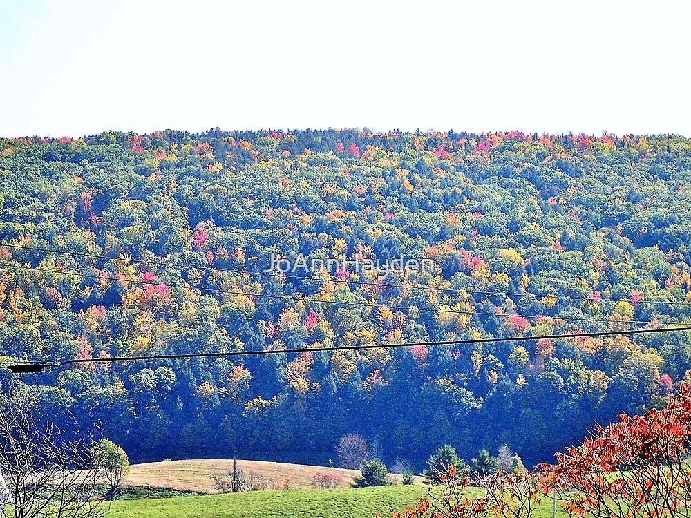 "RURAL NEW YORK STATE" by JoAnnHayden | Redbubble