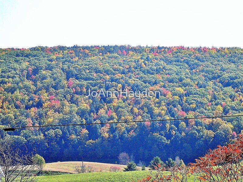 "RURAL NEW YORK STATE" by JoAnnHayden | Redbubble