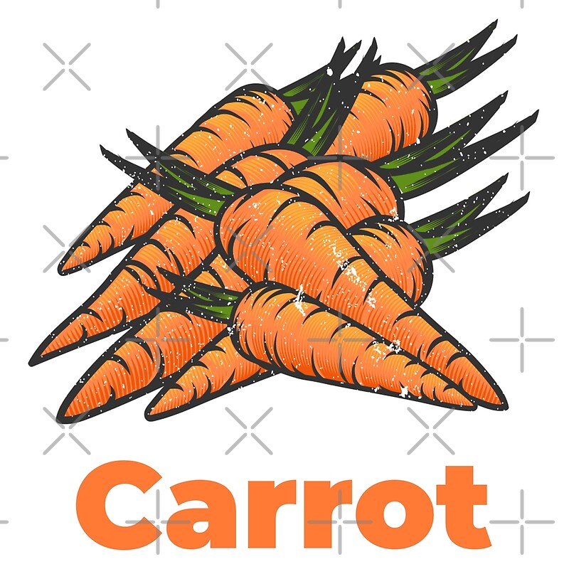 "Carrot Vegetable with Name" by Nikki H Stokes | Redbubble