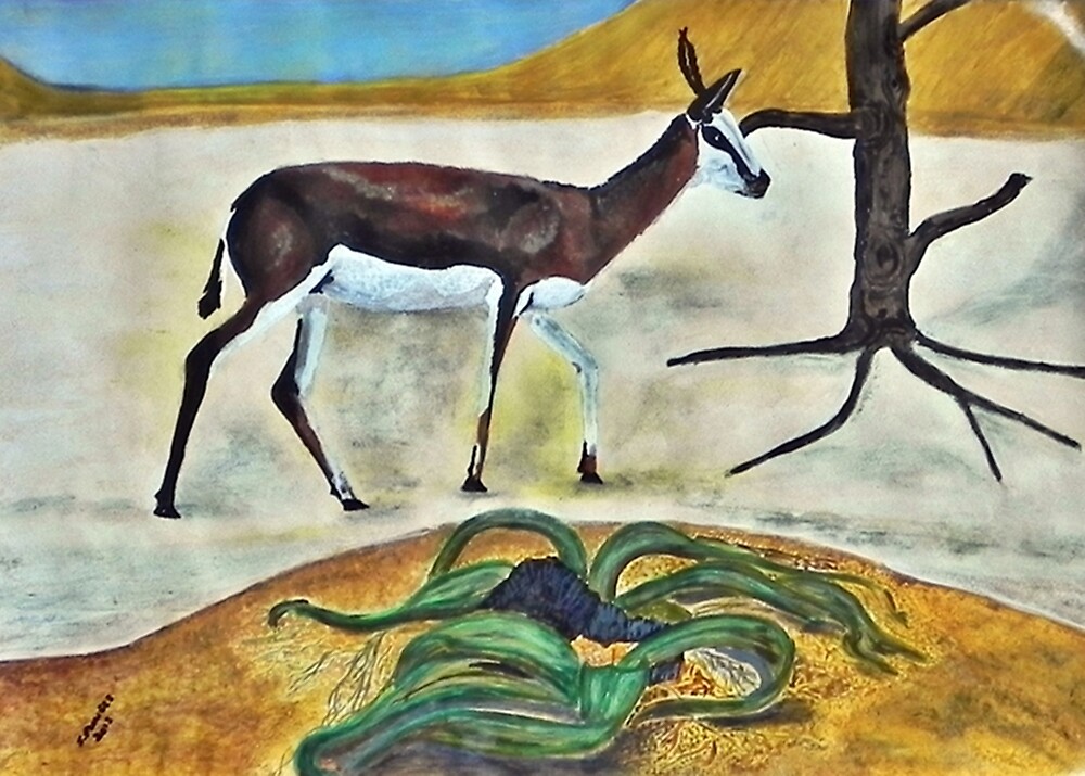 "Springbok at Dead Tree Vlei Namibia. By Jane Flowers" by ...