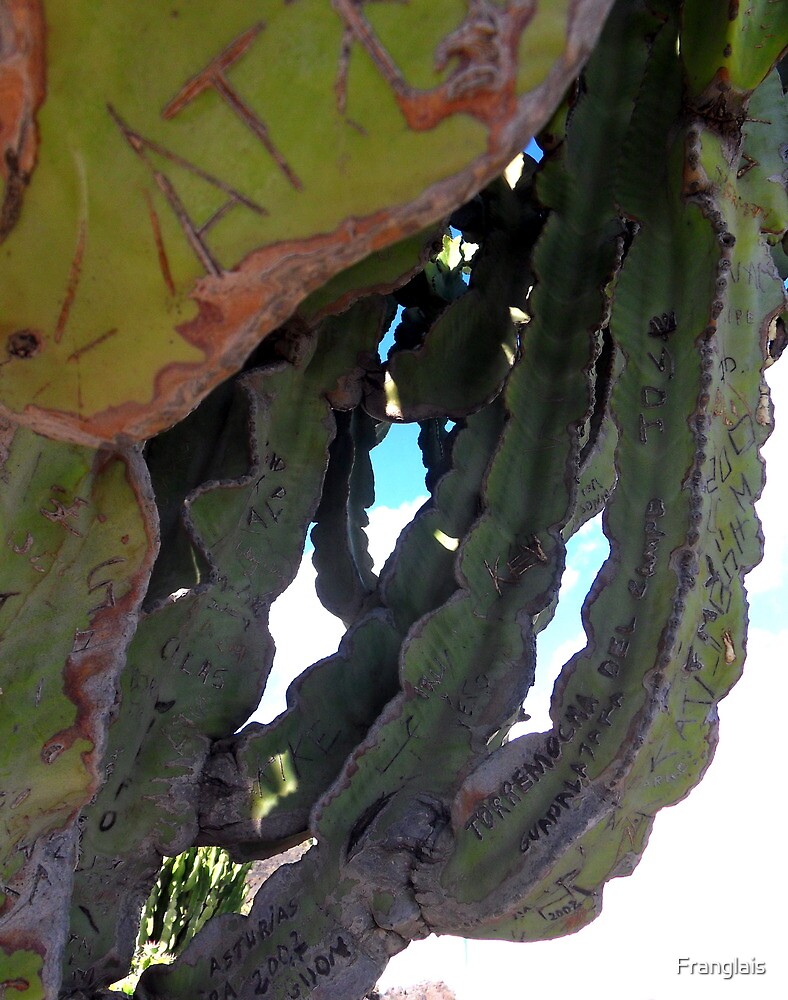 "Graffiti Cactus" by Franglais | Redbubble