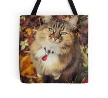 "Elsie-cat In Autumn " by meg price | Redbubble