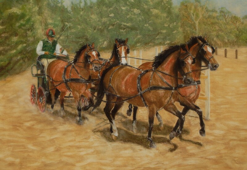 "Team Work Four-in-Hand Carriage Driving" by MelanieRose | Redbubble