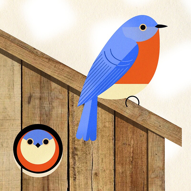 "blue bird house" by Scott Partridge | Redbubble