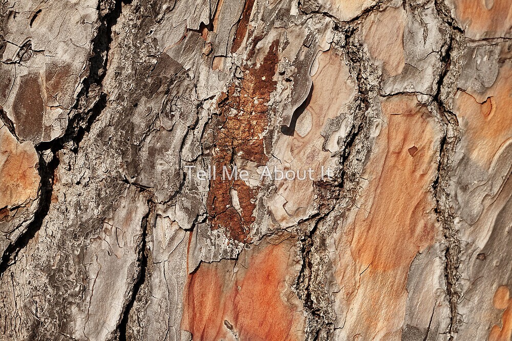 "Tree Bark Art" by Tell Me About It | Redbubble