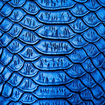 "Iridescent Royal Blue Snakeskin " Sticker for Sale by cgroenewald ...