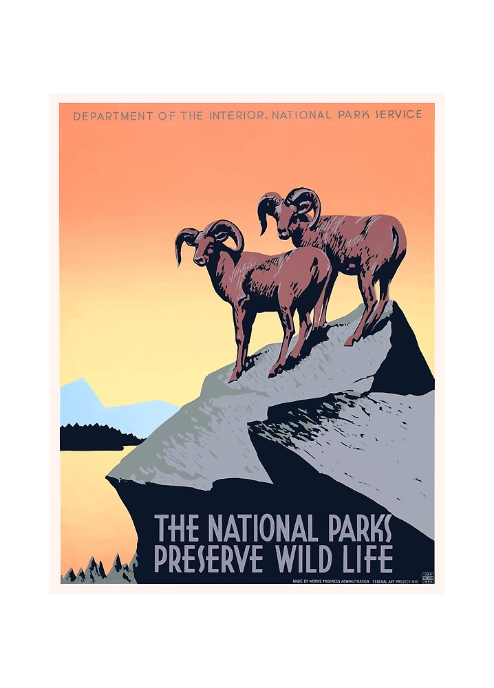 "1936 The National Parks Preserve Wild Life Poster" by retrographics ...