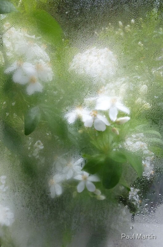 "The Misty Window" by Paul Martin | Redbubble