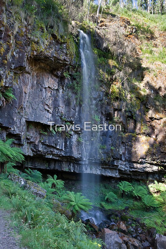 "Bindaree Falls" by Travis Easton | Redbubble