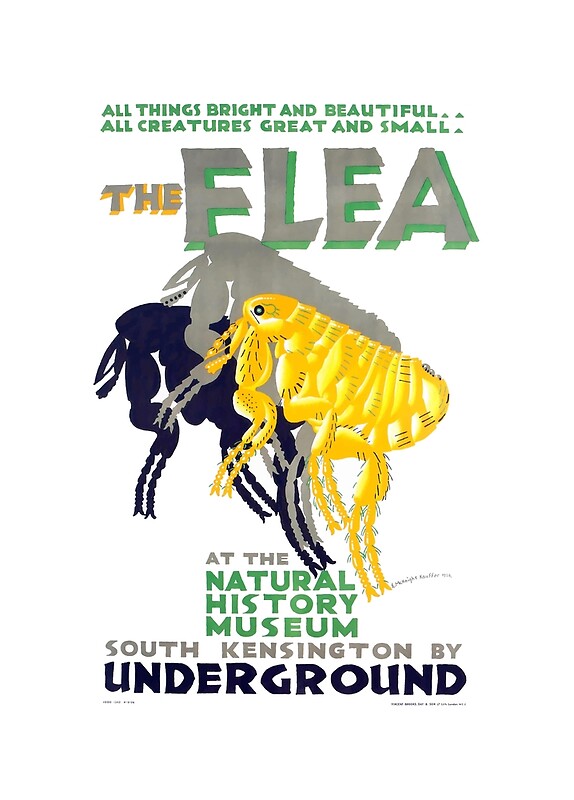 "1926 The Flea At The Natural History Museum Poster" by retrographics ...