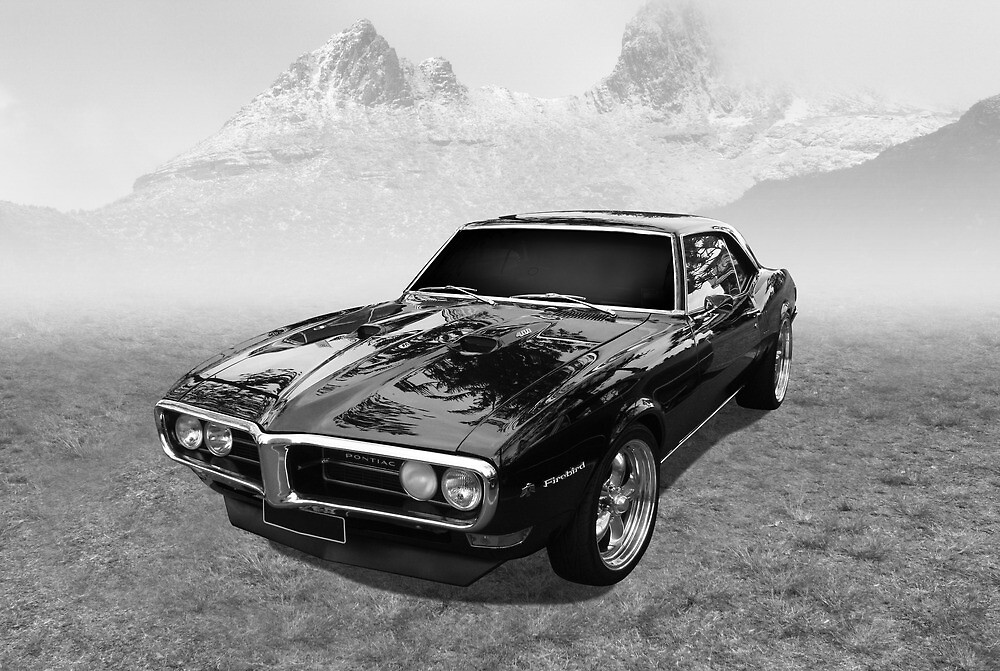 "Pontiac Firebird" by Hawley Designs | Redbubble