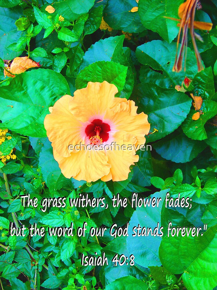 ""Isaiah 40:8" by Carter L. Shepard" by echoesofheaven | Redbubble