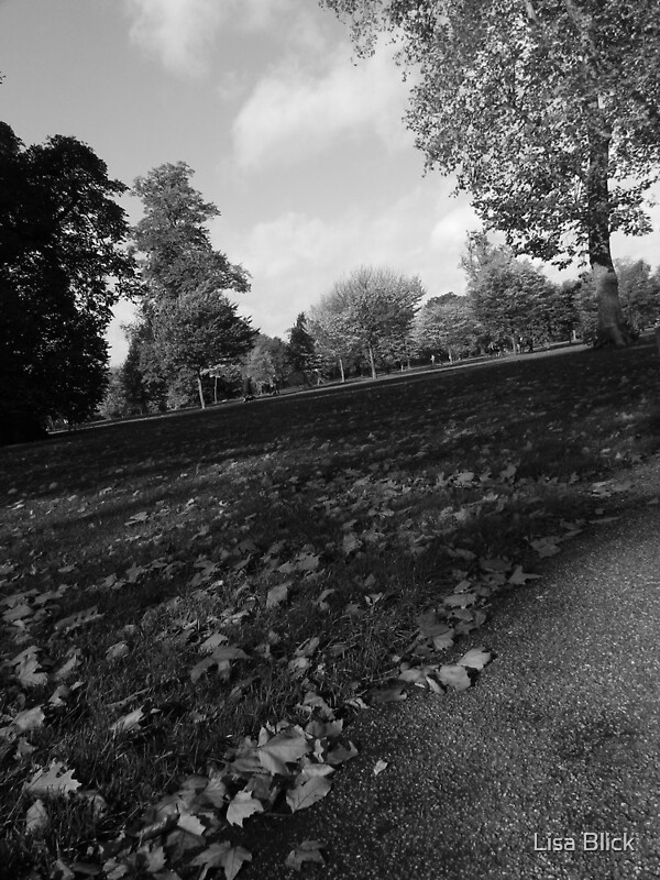 "Untitled" by Lisa Blick | Redbubble