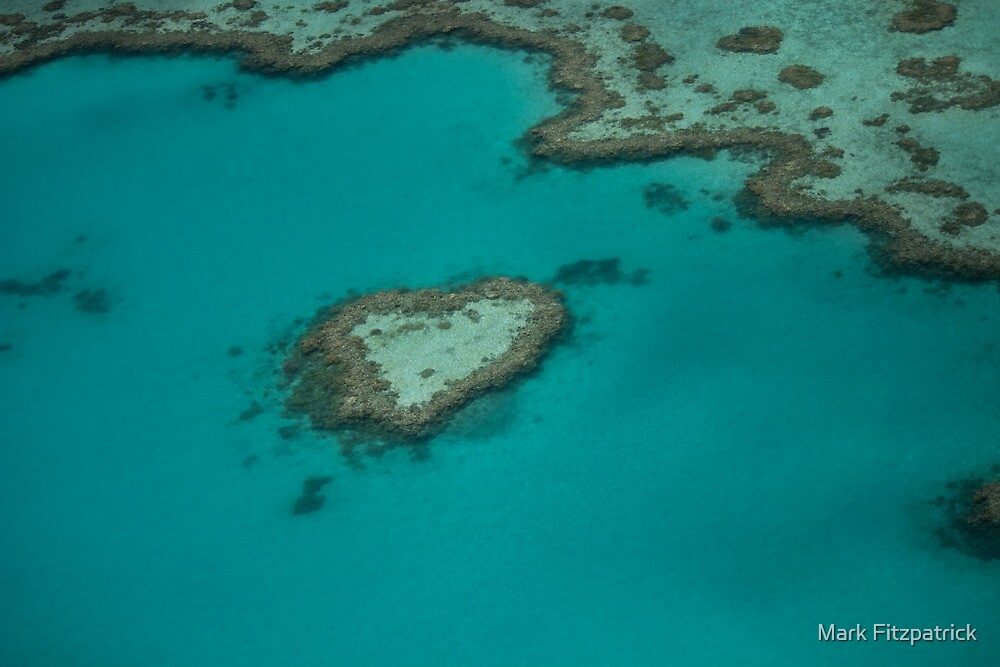 "Heart Reef" by Mark Fitzpatrick | Redbubble