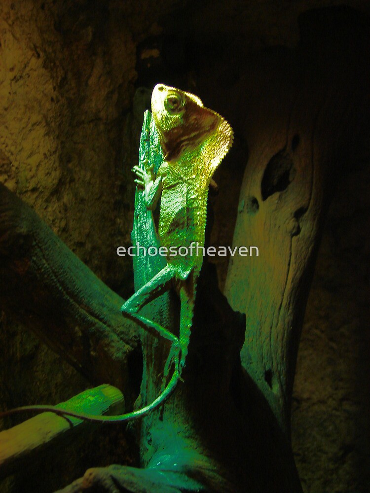 ""Helmeted Basilisk" " by echoesofheaven | Redbubble