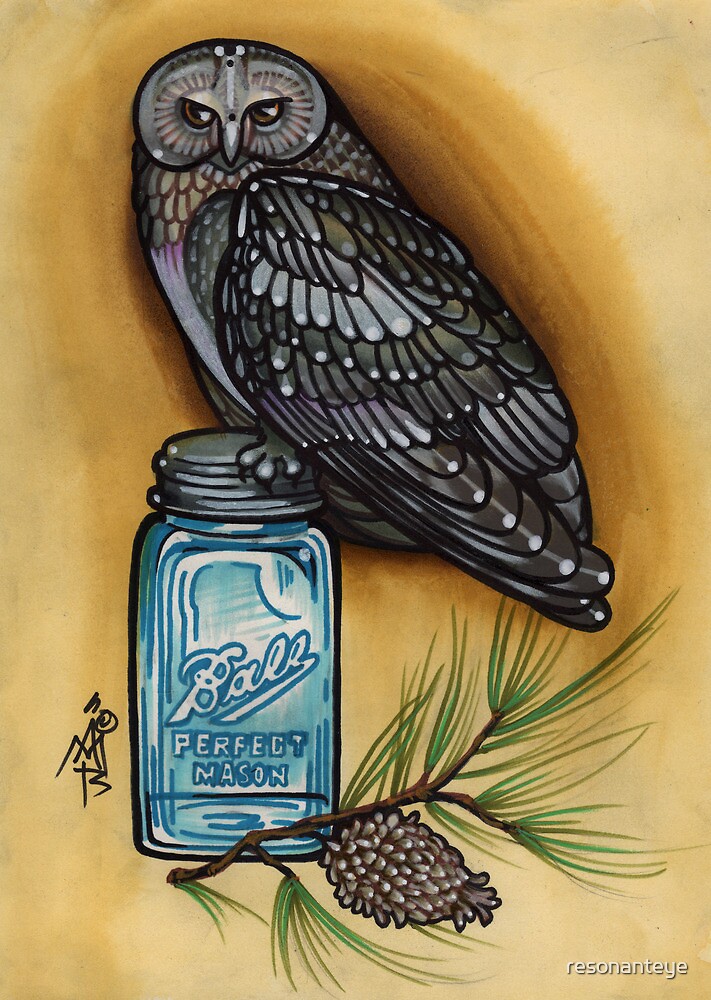 "owl with mason jar and spruce twig, cascadia" by resonanteye | Redbubble