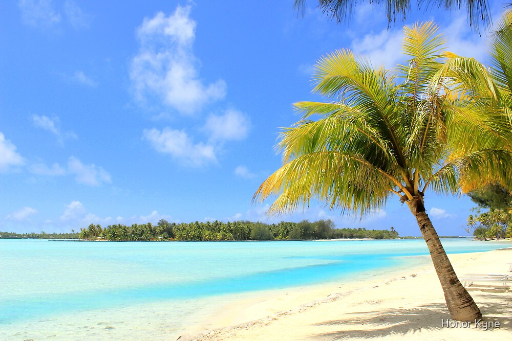 "Palm Tree Beach, Bora Bora" by Honor Kyne | Redbubble