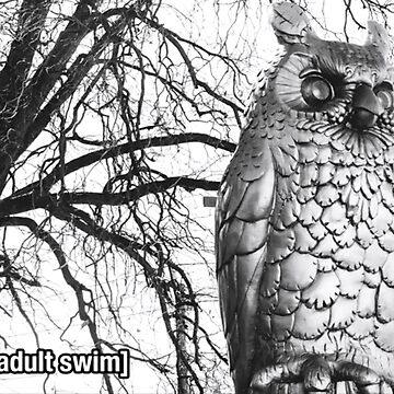 "Adult Swim Owl Bump" Sticker for Sale by Park Bump | Redbubble