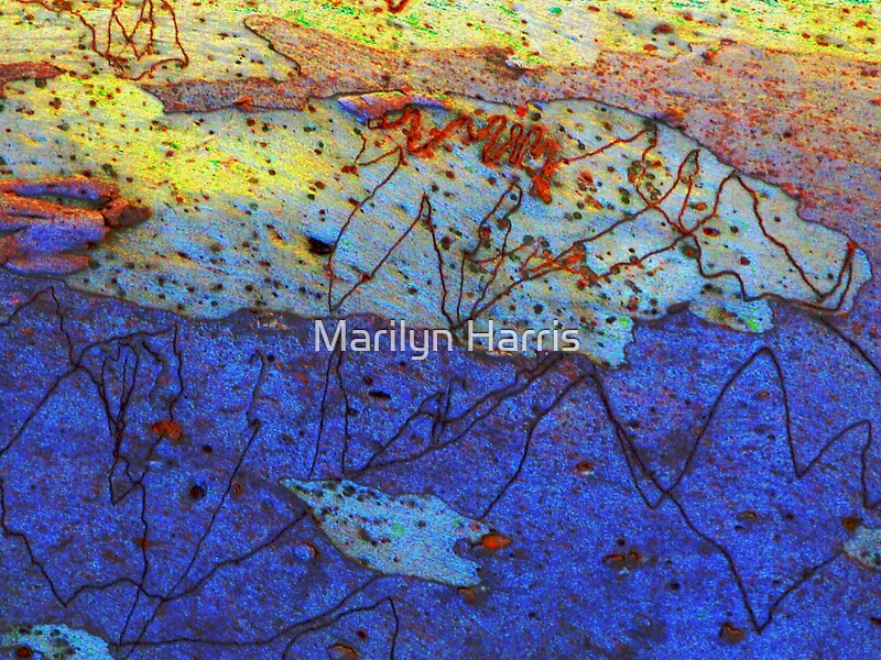 "Under the Sea - Abstract" by Marilyn Harris | Redbubble
