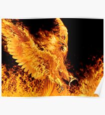 Phoenix Bird: Posters | Redbubble