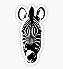 Zebra: Stickers | Redbubble