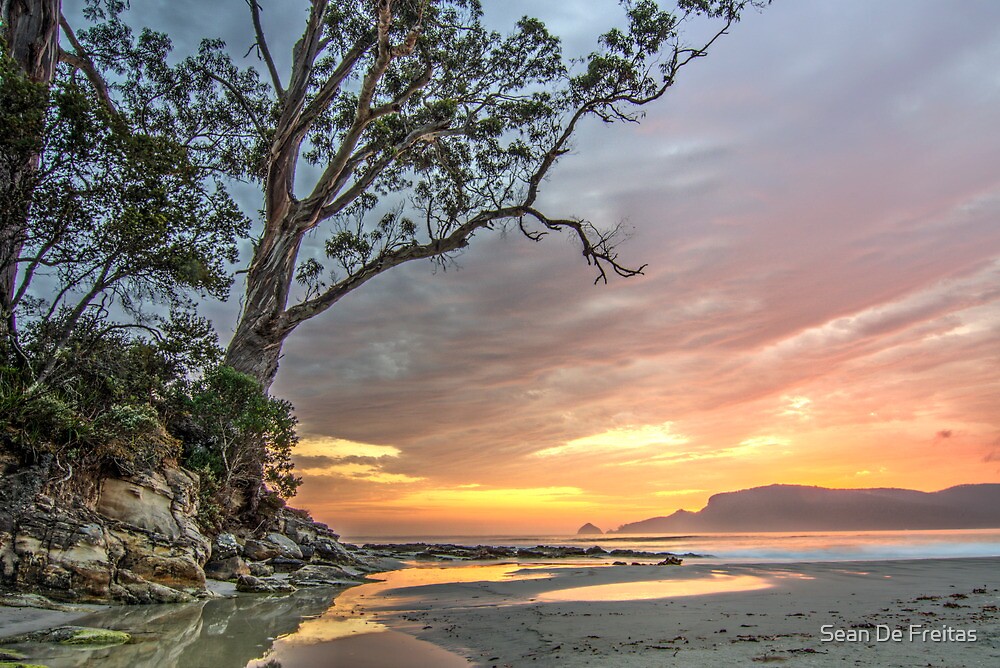 "Two Tree Point, Adventure Bay HDR, Bruny Island, Tasmania" by Sean De ...