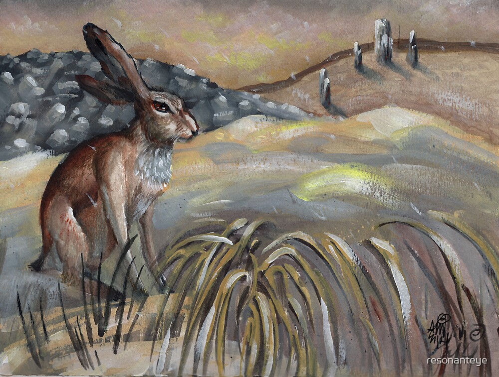 "Winter Hare." by resonanteye | Redbubble