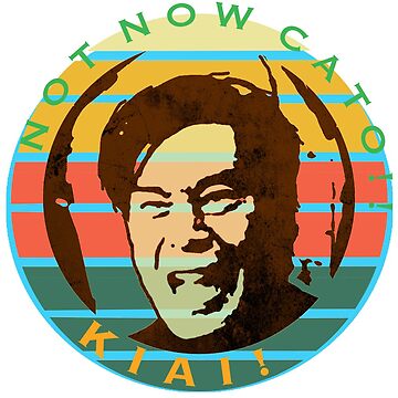 "Not Now Cato retro sun" Sticker for Sale by akatosensei | Redbubble