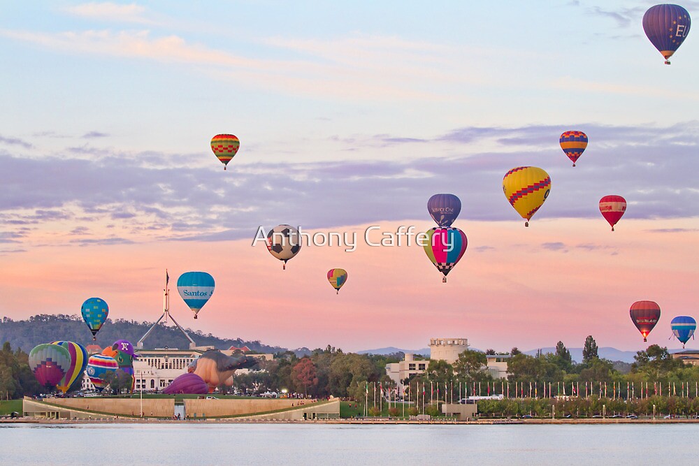 "Canberra Balloon Spectacular" by Anthony Caffery | Redbubble