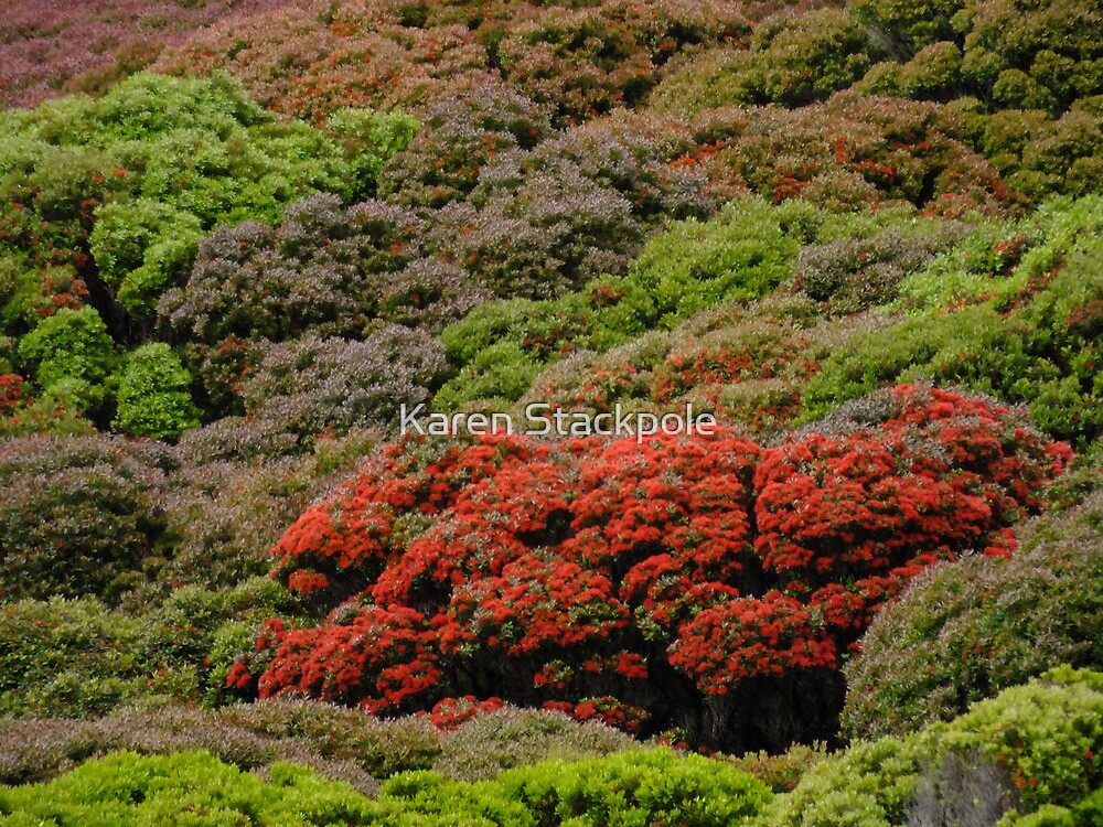 "Rata Forest, Auckland Island" by Karen Stackpole | Redbubble