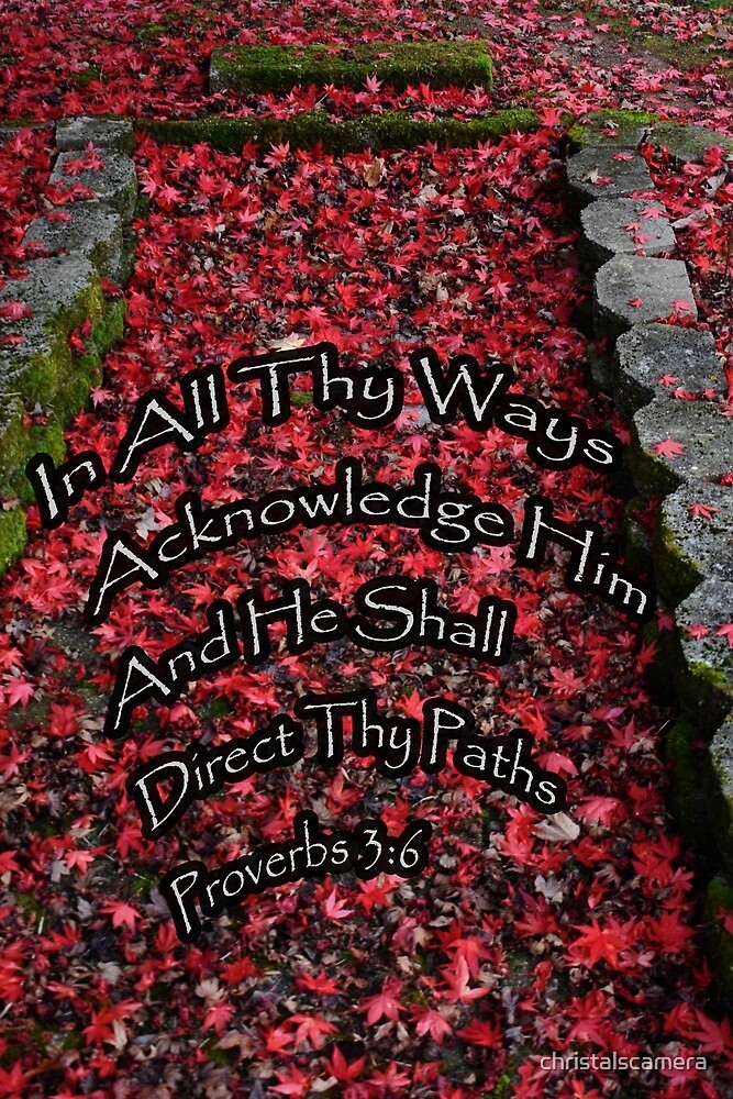 "He Shall Direct Thy Paths" by christalscamera | Redbubble