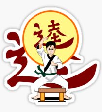 Karate Kid: Stickers | Redbubble