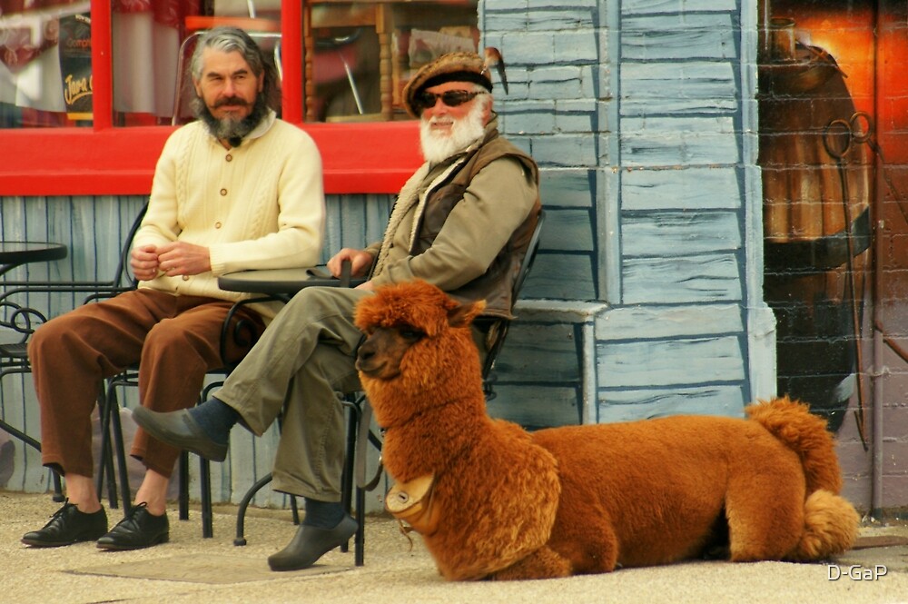 "Lama Man" by D-GaP | Redbubble