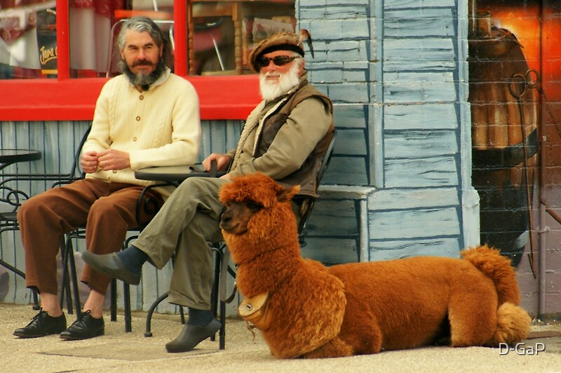 "Lama Man" by D-GaP | Redbubble