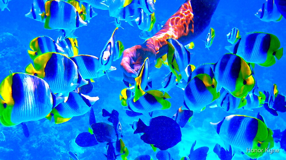 "Double Saddle Butterfly Fish Feeding Coral Reef- Bora Bora" by Honor ...