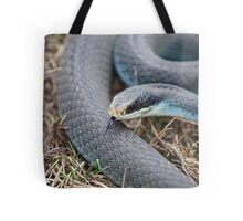 "Michigan Blue Racer Snake" by miphotoguy | Redbubble