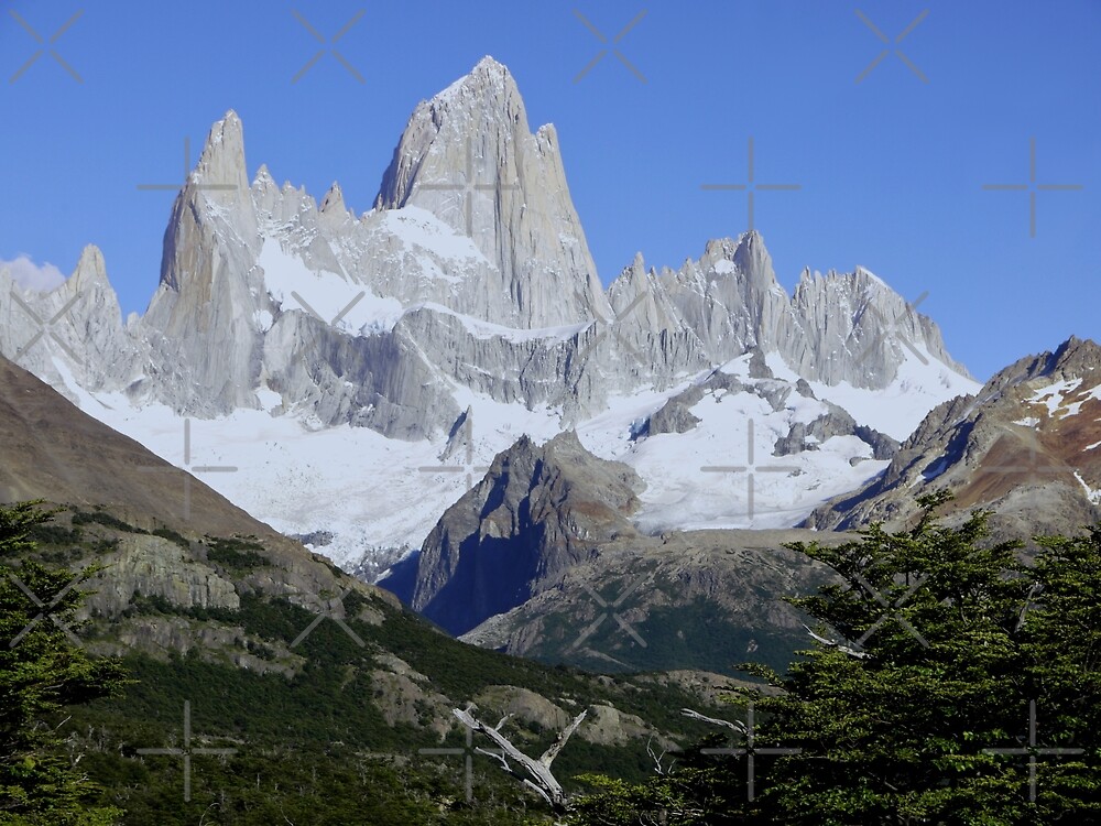 "Nearing the summit of Mt Fitz Roy" by stevepaint | Redbubble