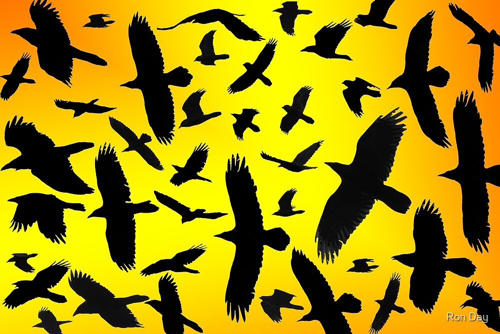 "Raven In Silhouette-Collage Of Ravens In Flight" by Ron Day | Redbubble