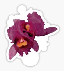 Opeth: Stickers | Redbubble